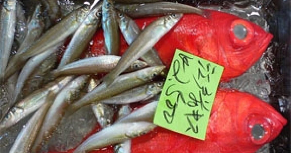 Policy Innovations Digital Magazine (2006-2016): Commentary: Free Trade ...