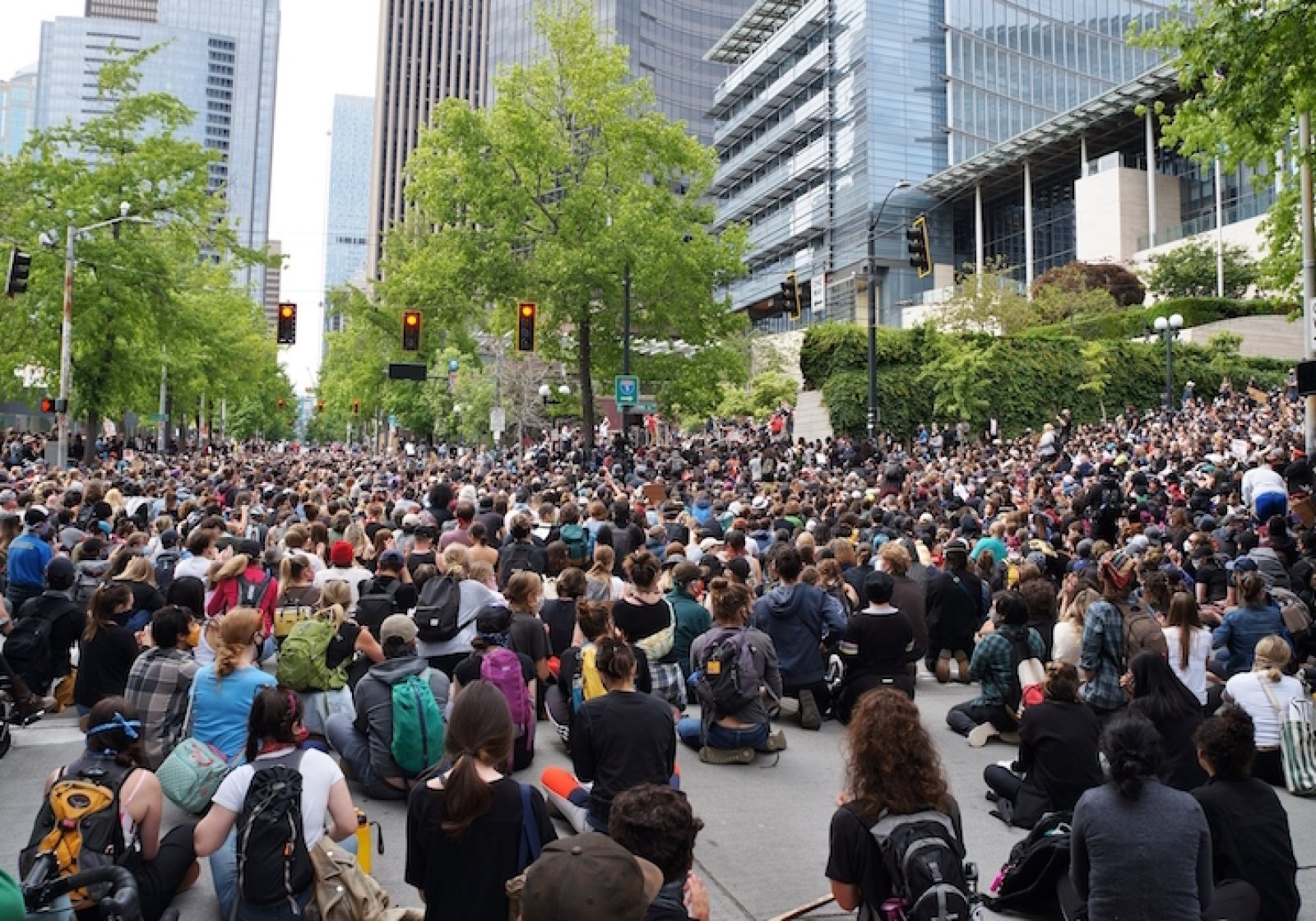 Protests in Perspective: Civil Disobedience & Activism Today, with ...