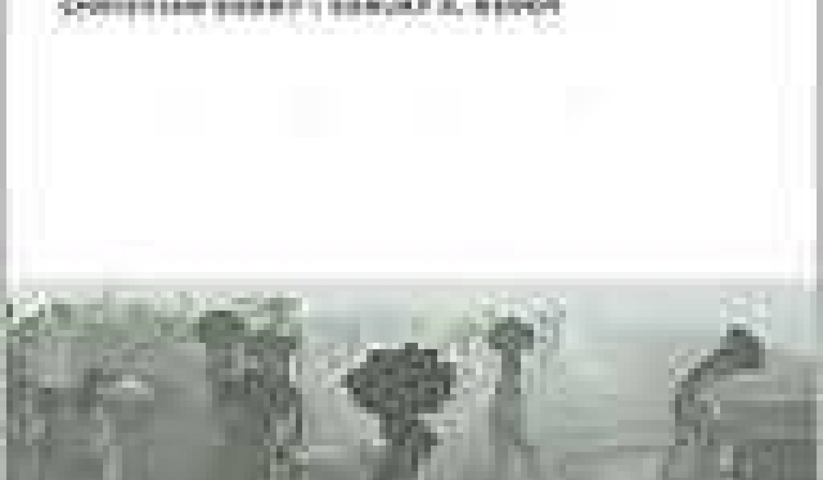 "Torture Lite": A Response | Ethics & International Affairs