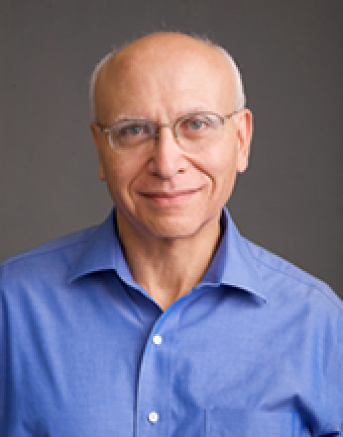 David Luban | Carnegie Council for Ethics in International Affairs