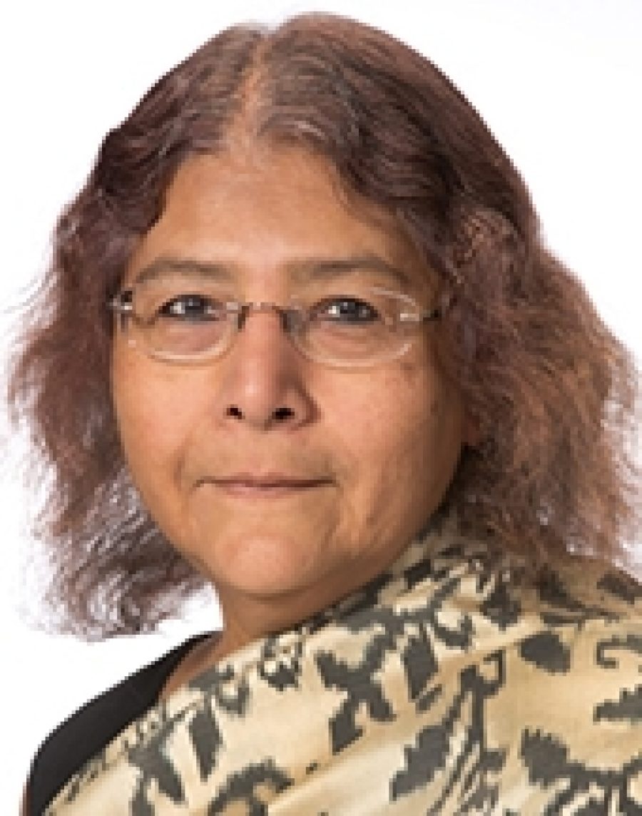 Sheila Jasanoff | Carnegie Council for Ethics in International Affairs